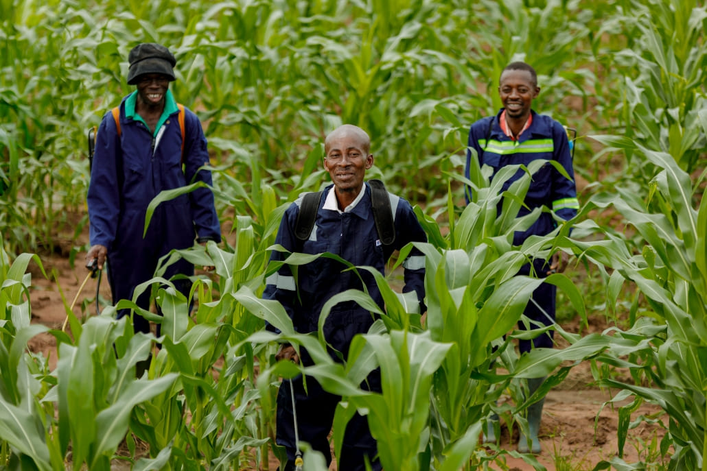 Alitheia’s UMunthu II Fund Co-Leads $10.4M Investment Round In Ghanaian Agritech Startup ...